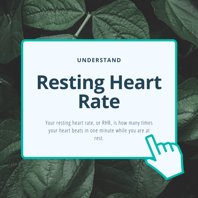 Sleepon | Understand: Resting Heart Rate | Advance Sleep Tracker – SLEEPON